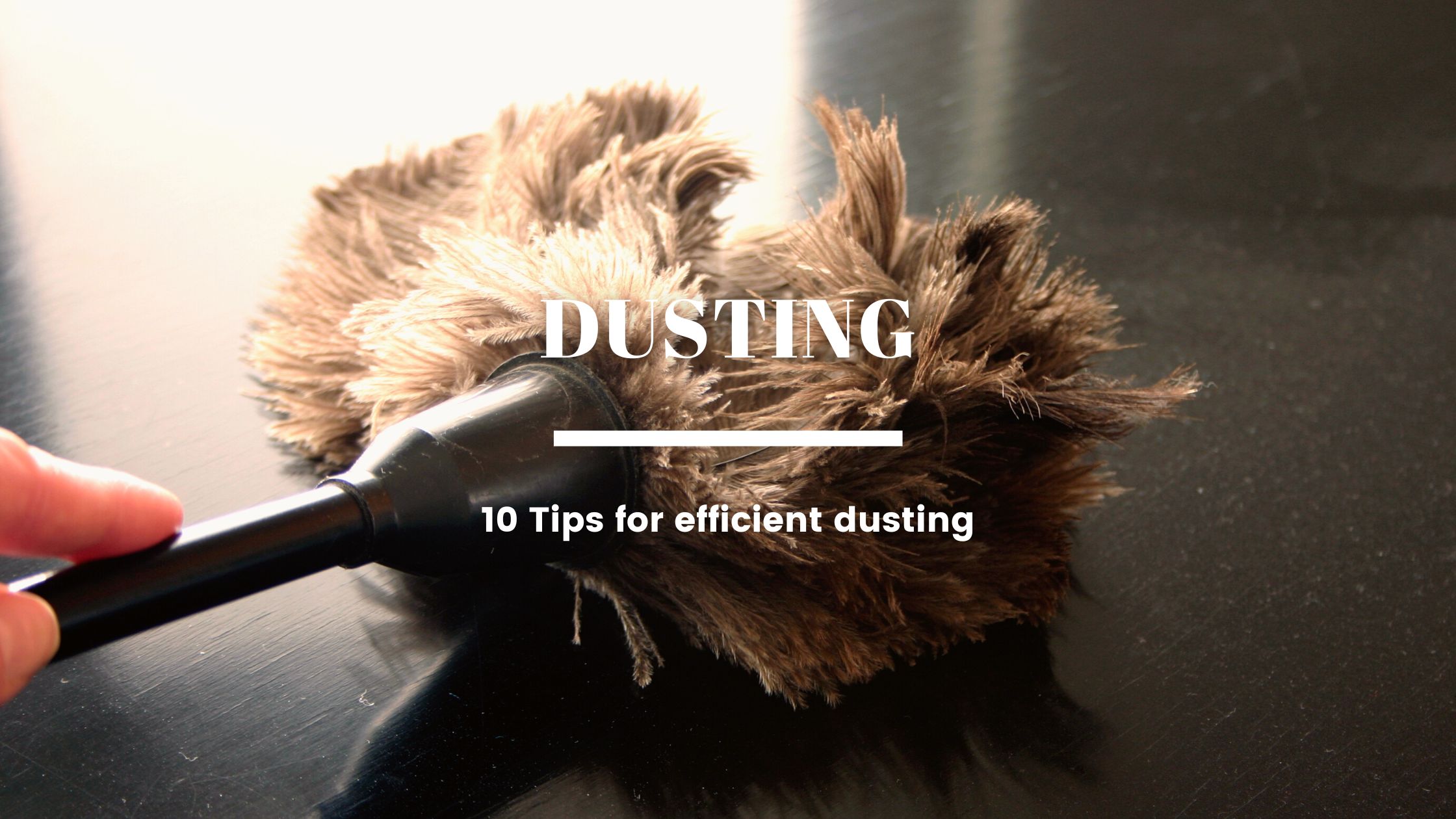 The Best Effective and Efficient Dusting Tips - Detroit Sponge