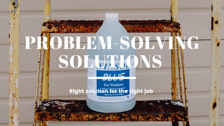 Problem-Solving Solutions – Detroit Sponge Problem-Solving Solutions – Detroit Sponge