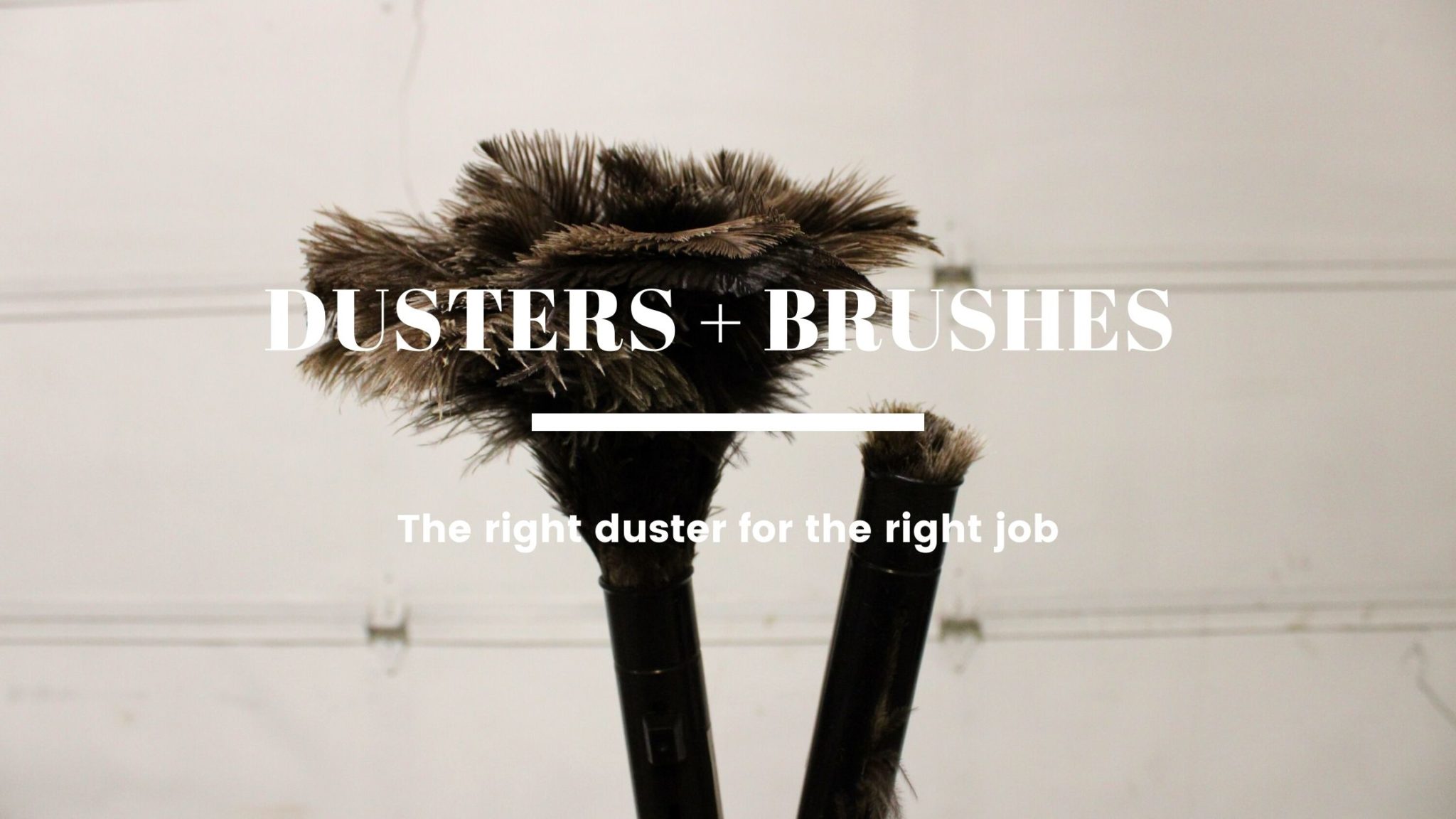 Add on Service- Dusting and Detail Cleaning – Detroit Sponge