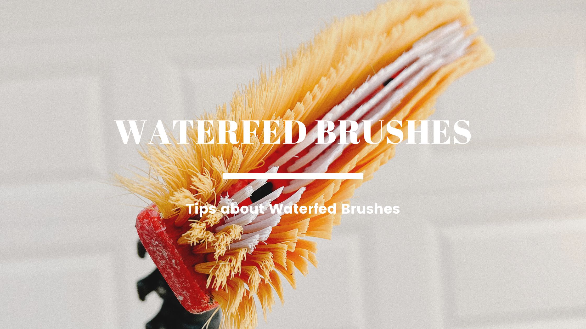Tips for Waterfed Brushes and How to Care for Them - Detroit Sponge