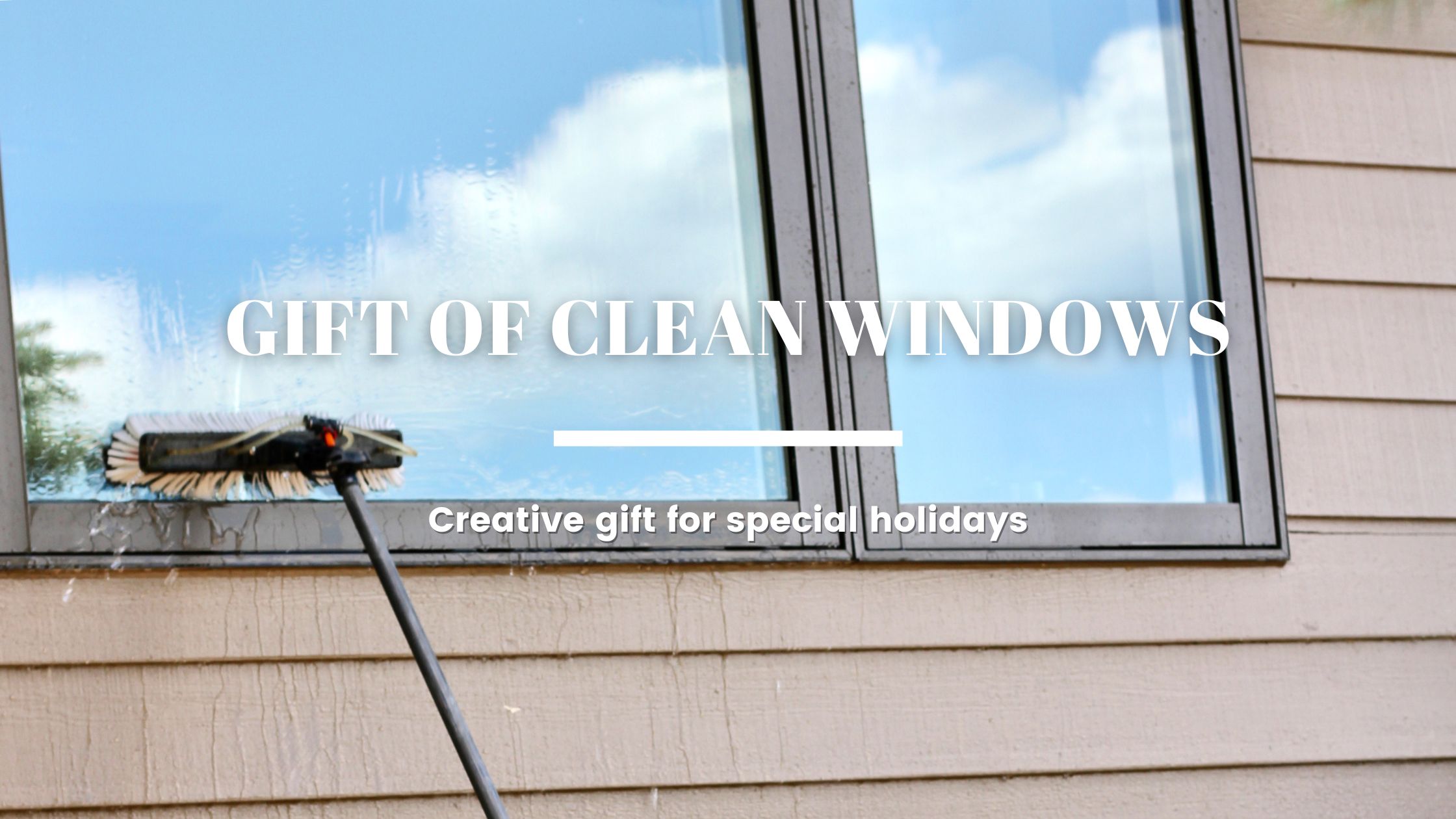 The Gift of Clean Windows - Detroit Sponge