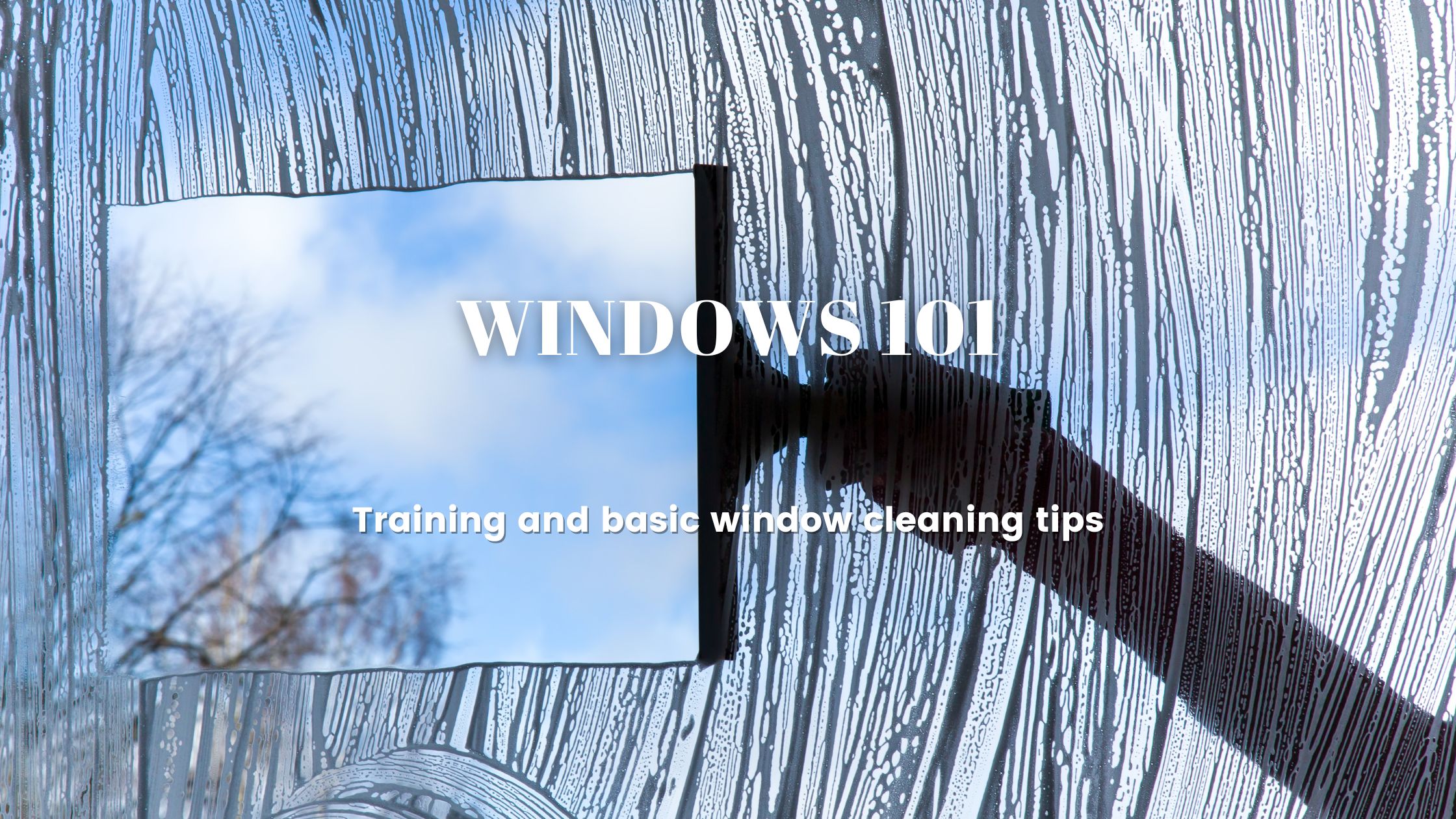 Windows 101, The Guide to Cleaning Windows - Detroit Sponge